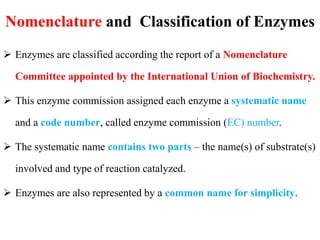 Enzymes properties, nomenclature and classification | PPTX