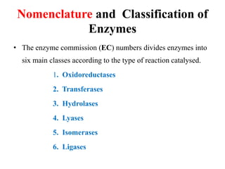 Enzymes properties, nomenclature and classification | PPTX