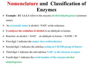 Enzymes properties, nomenclature and classification | PPTX