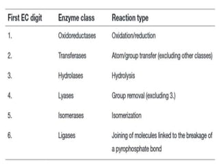 Enzymes properties, nomenclature and classification | PPTX | Chemistry | Science