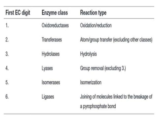 Enzymes properties, nomenclature and classification | PPTX | Chemistry ...