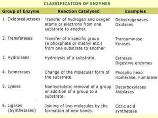 Enzymes properties, nomenclature and classification | PPTX | Chemistry | Science