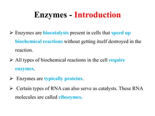Enzymes properties, nomenclature and classification | PPTX