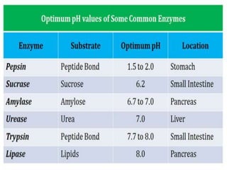 Enzymes properties, nomenclature and classification | PPTX