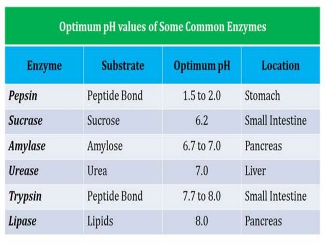Enzymes properties, nomenclature and classification | PPTX | Chemistry ...