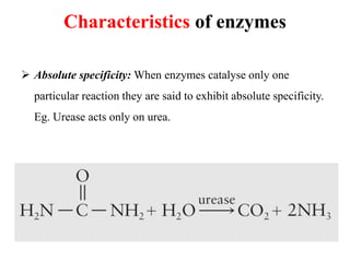 Enzymes properties, nomenclature and classification | PPTX