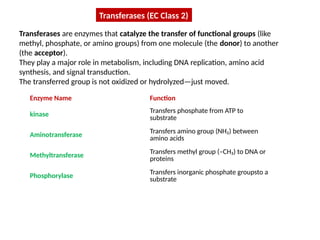 enzymes-propertiesnomenclatureandclassification-210410093710 (1).pptx