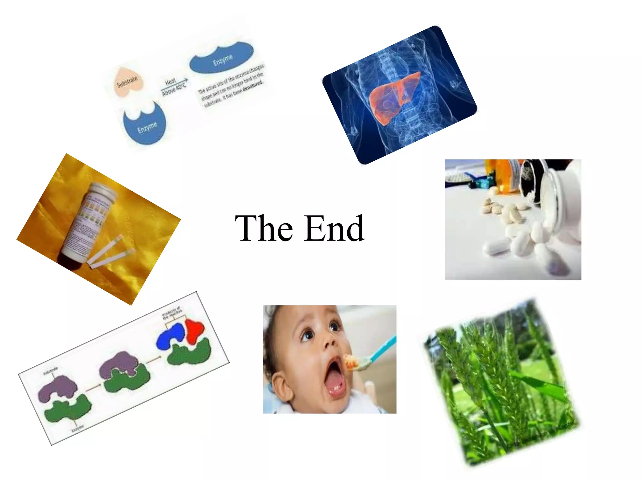 Enzymes Triple Science Pptx