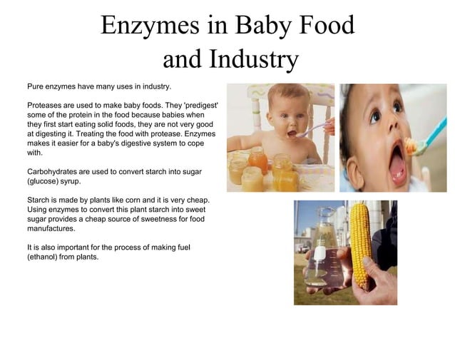 Enzymes triple science | PPT