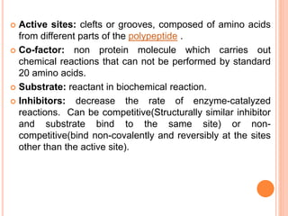 Enzymes use of exogeneous enzymes | PPTX