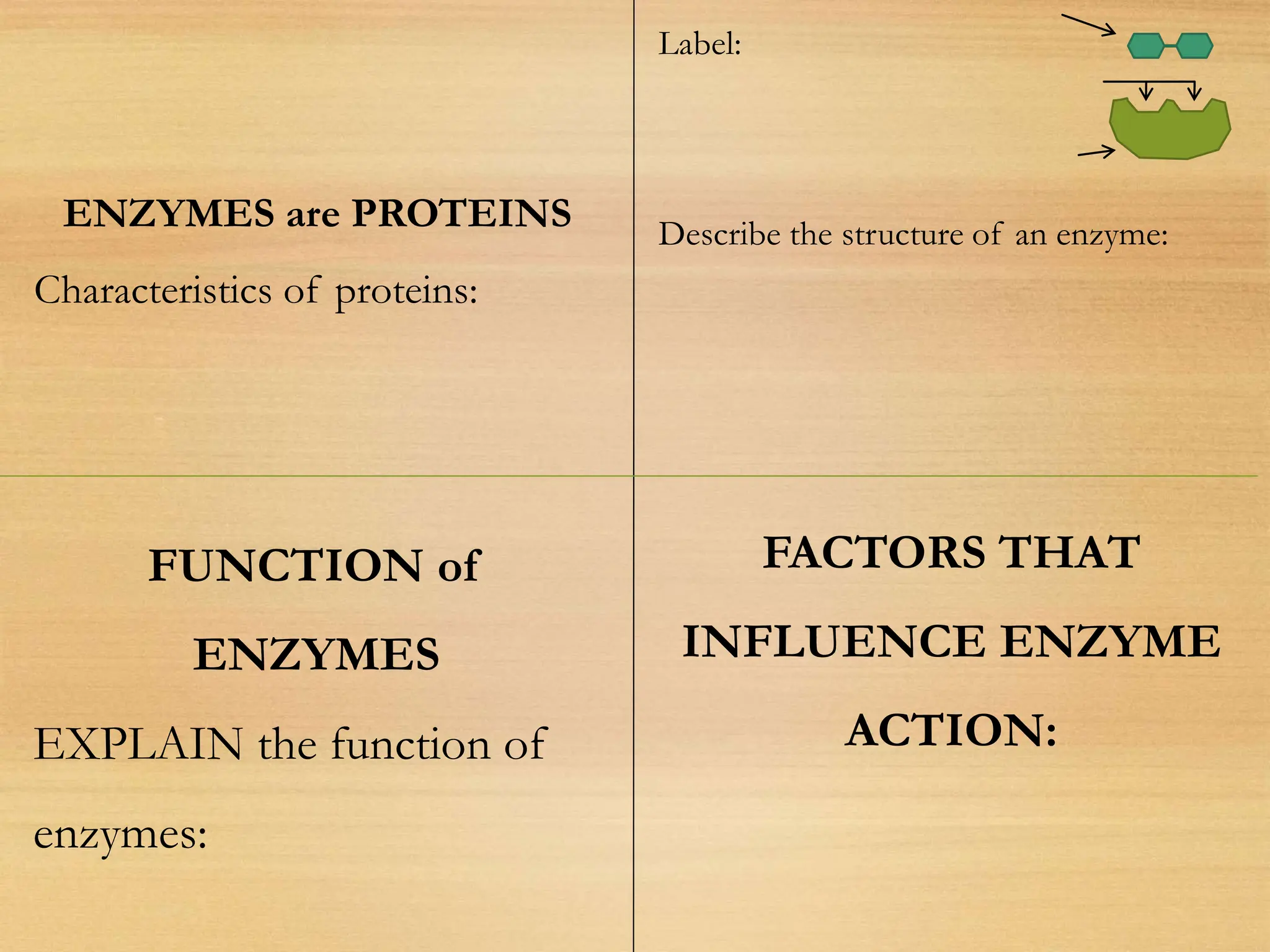 ENZYMES - WEEK 1.ppt | Chemistry | Science