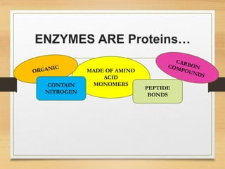 ENZYMES - WEEK 1.ppt