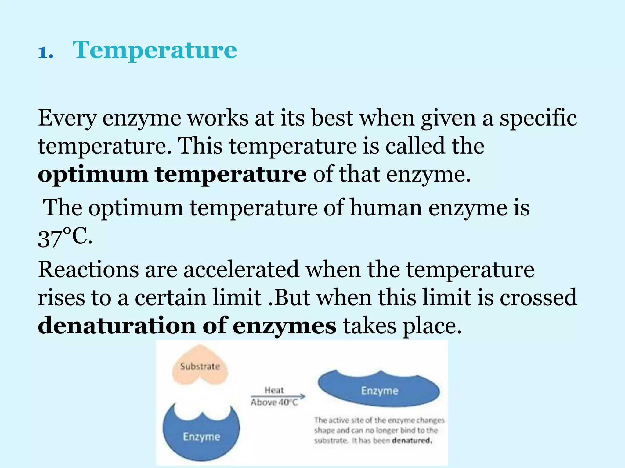 Enzymes | PPTX