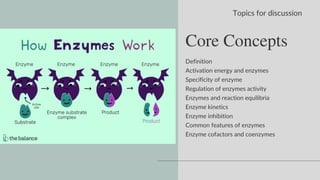 Enzymes .pptx