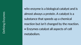 Enzymes .pptx