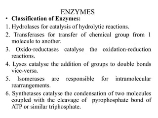 ENZYMES (1).pptx pharmacognosy and Phytochemistry | PPTX