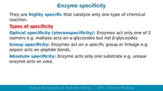 Enzymes (1).please be aware of this fact | PDF | Chemistry | Science