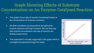 BIOLOGY ENZYME PRESENTATION INCLUDING GRAPHS | PDF