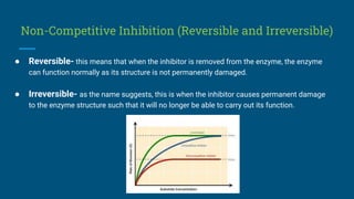 BIOLOGY ENZYME PRESENTATION INCLUDING GRAPHS | PDF