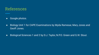 BIOLOGY ENZYME PRESENTATION INCLUDING GRAPHS | PDF