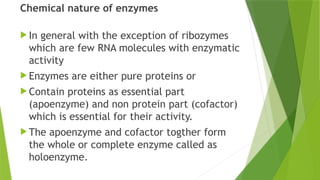 enzymes 11.pptx How enzymes can work best presentation and best slides ...