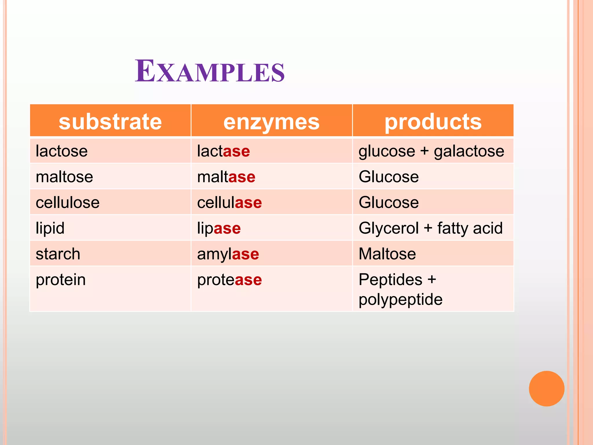 Enzymes | PPTX