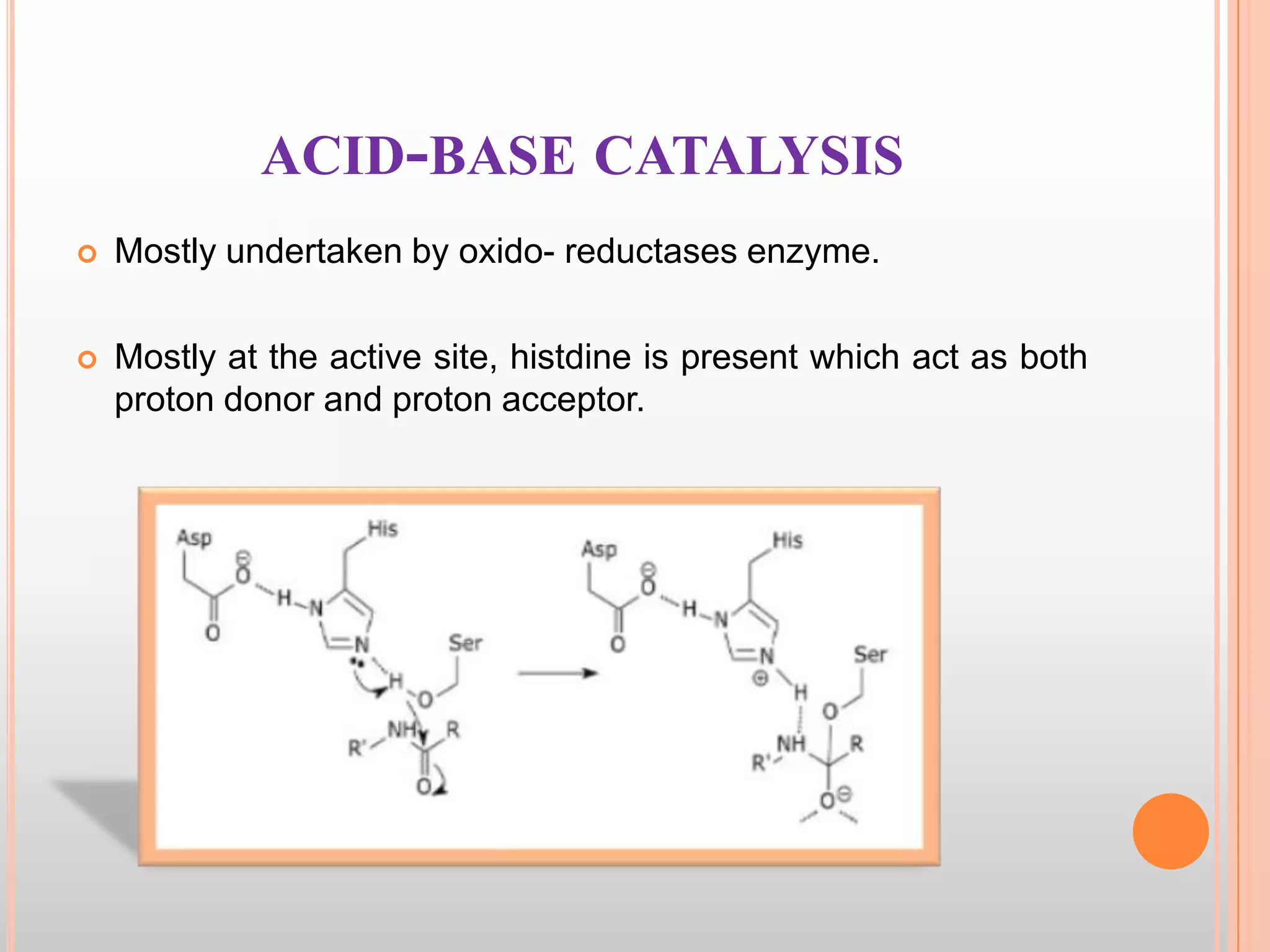 Enzymes | PPTX
