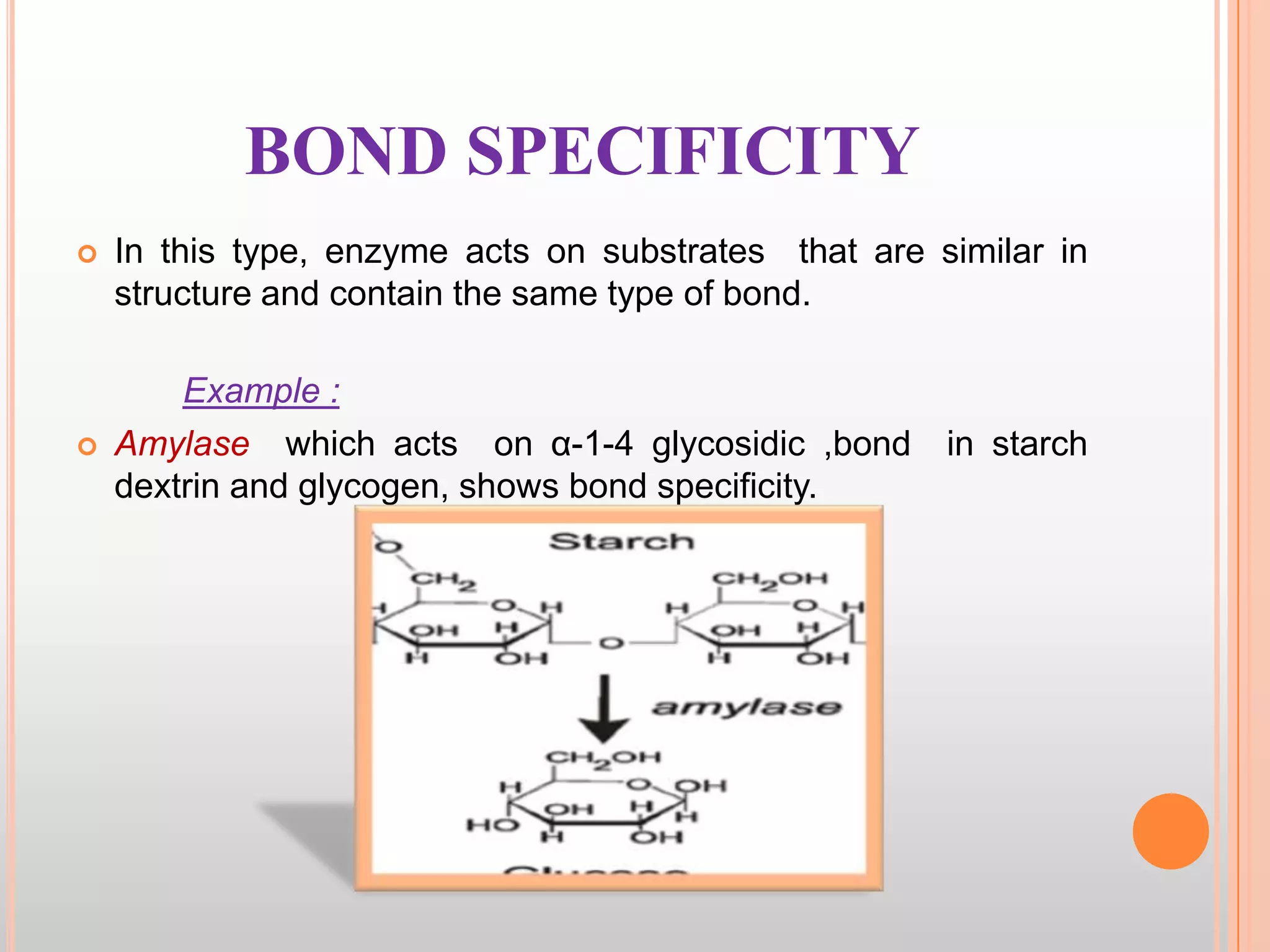 Enzymes | PPTX