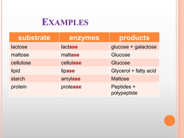 Enzymes | PPTX
