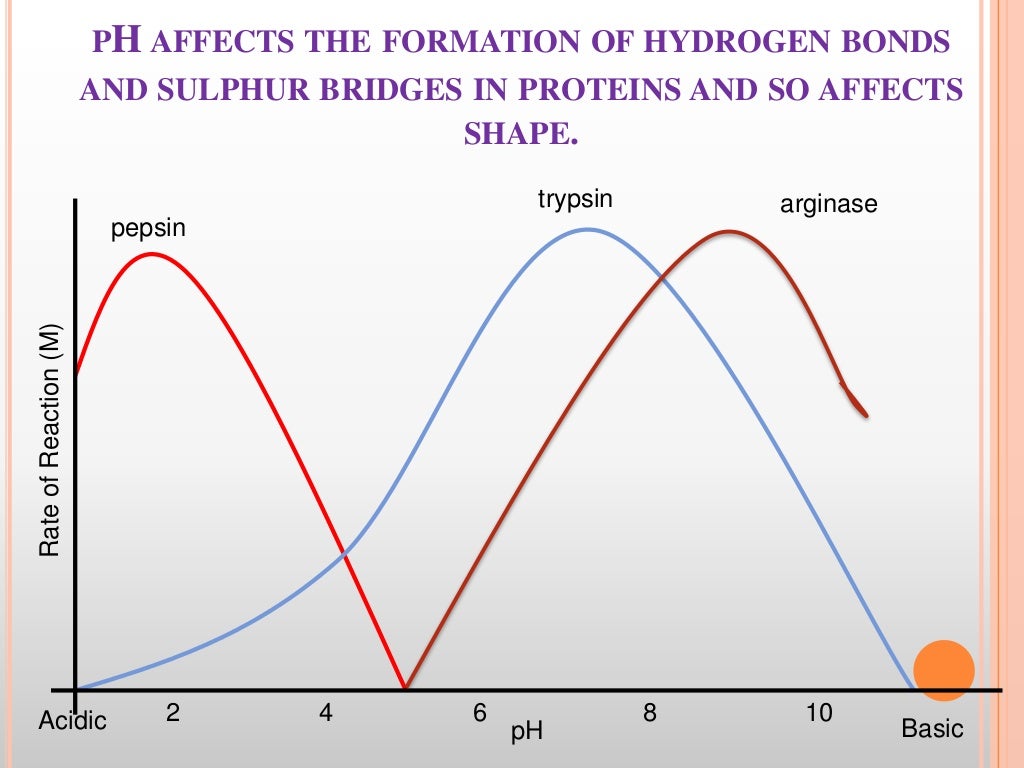 Label The Enzyme Graph