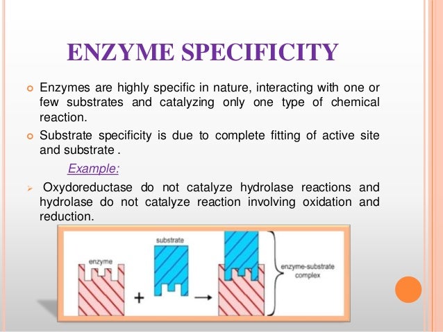 Enzymes