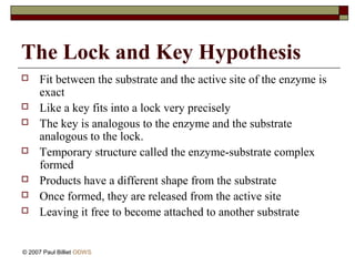 Enzymes | PPT