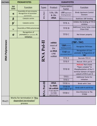 Enzymes In Transcription, Translation and Replication | DOCX