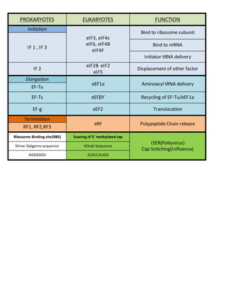 Enzymes In Transcription, Translation and Replication | DOCX