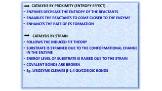 enzymes2.pptx