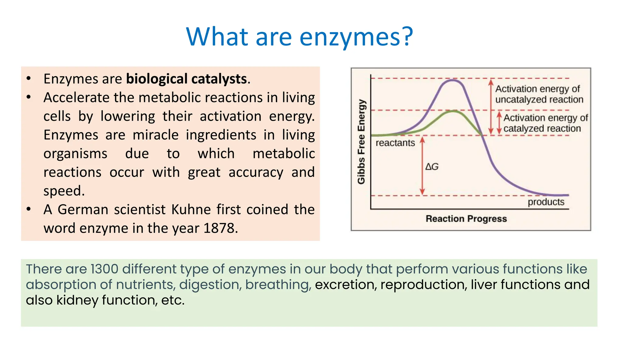 ENZYMES classification,characterstics,silent features | PDF