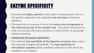 ENZYMES 2023.pptx