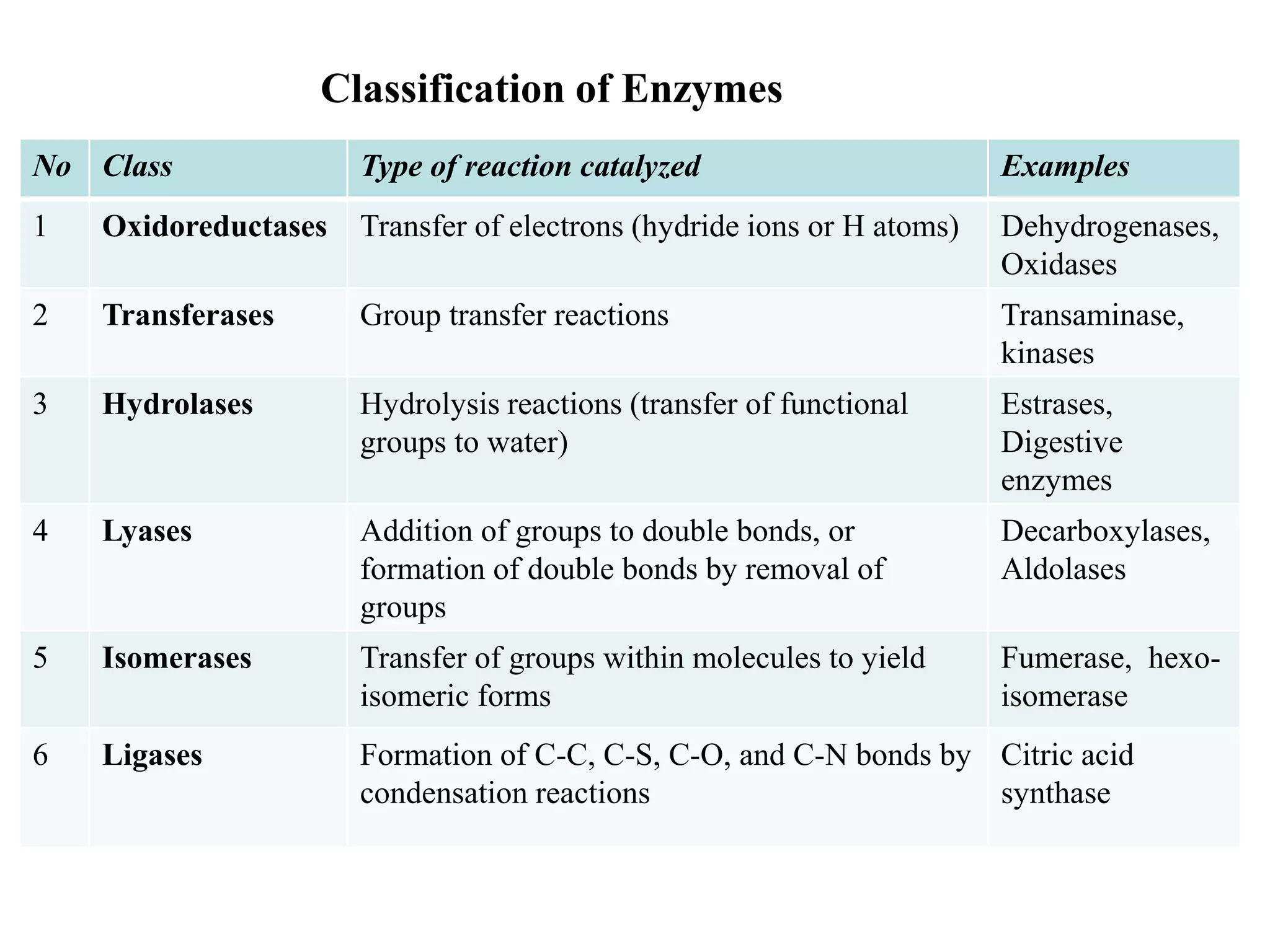 Enzymes | PPT