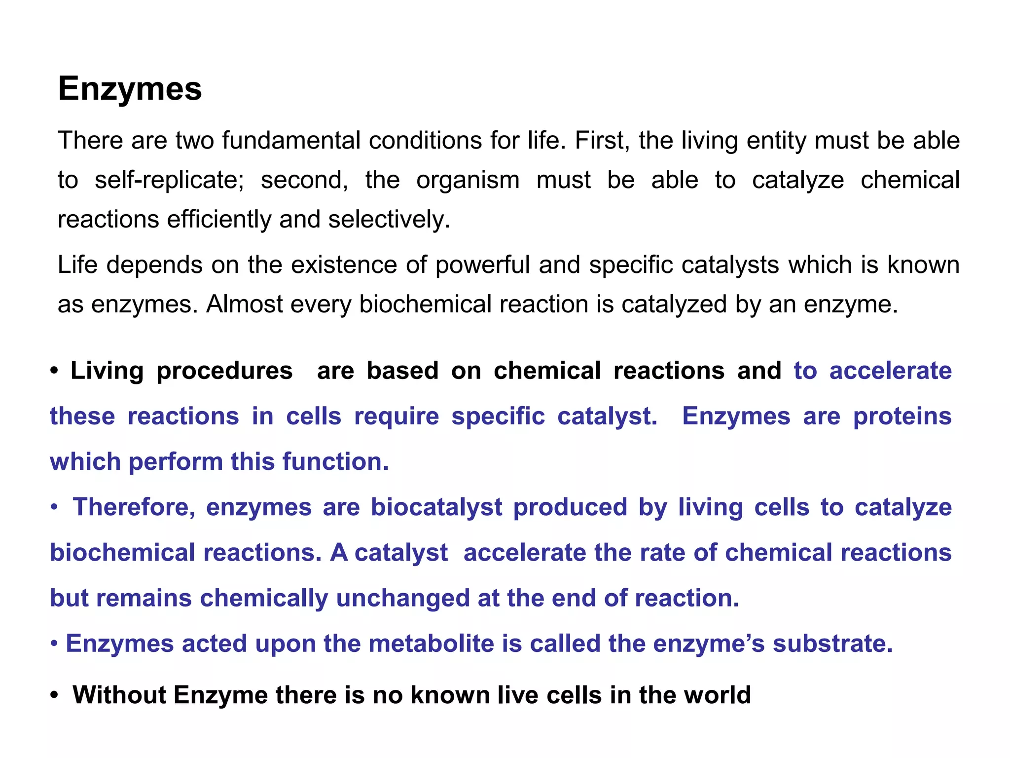 Enzymes | PPT