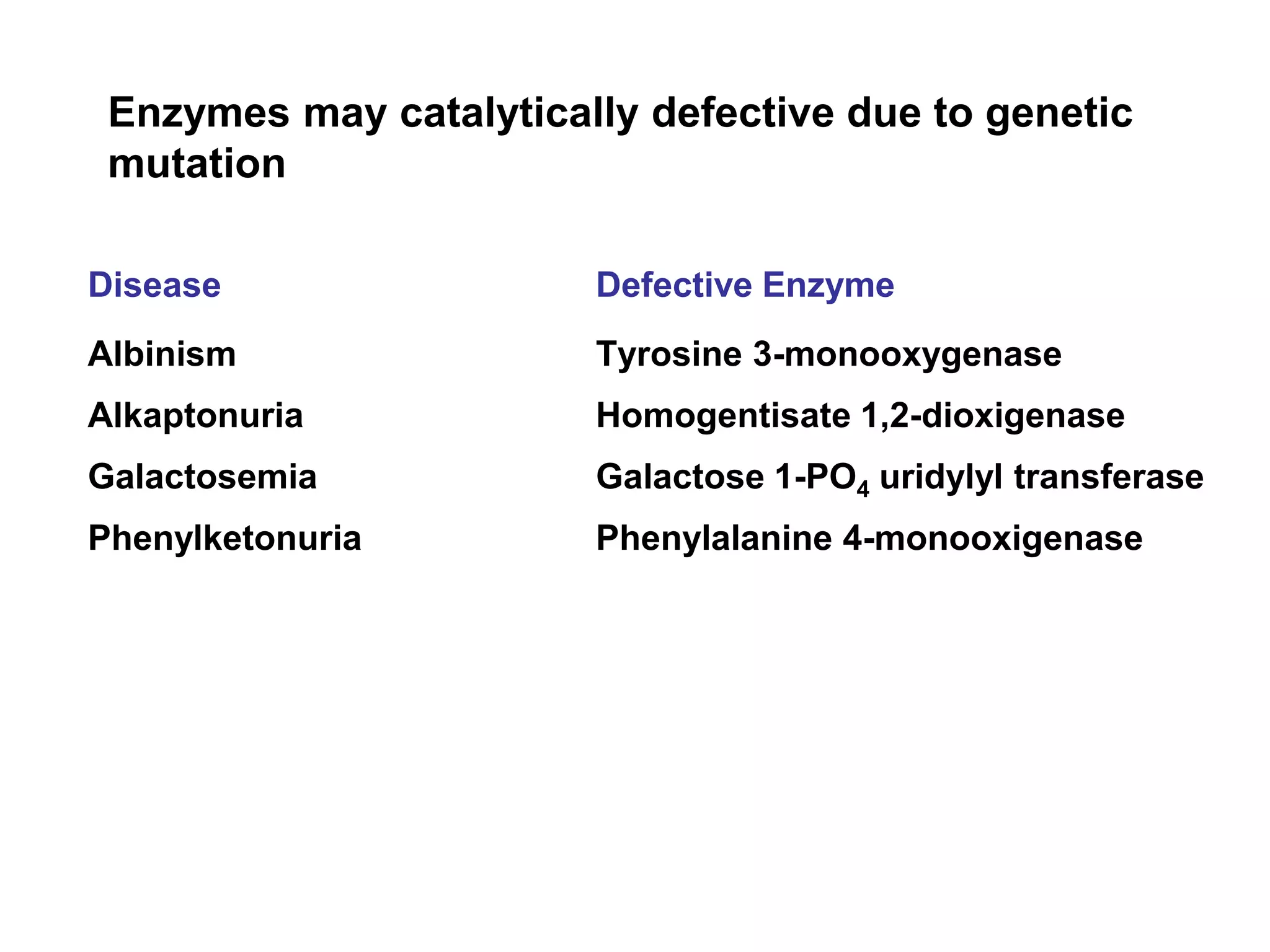 Enzymes | PPT