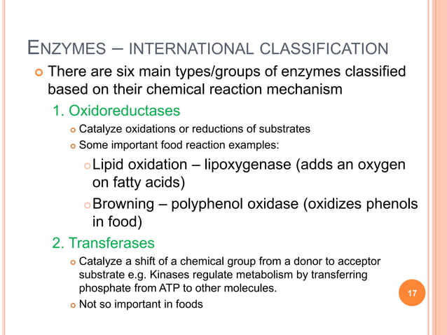 Enzyme’s activity | PPTX | Chemistry | Science