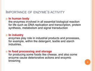 The Enzymes In Body