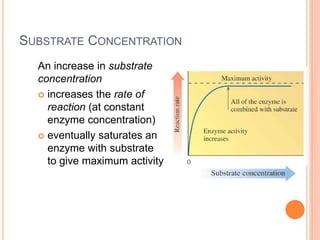 Enzyme’s activity | PPTX