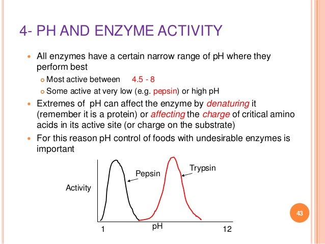 Enzyme’s activity