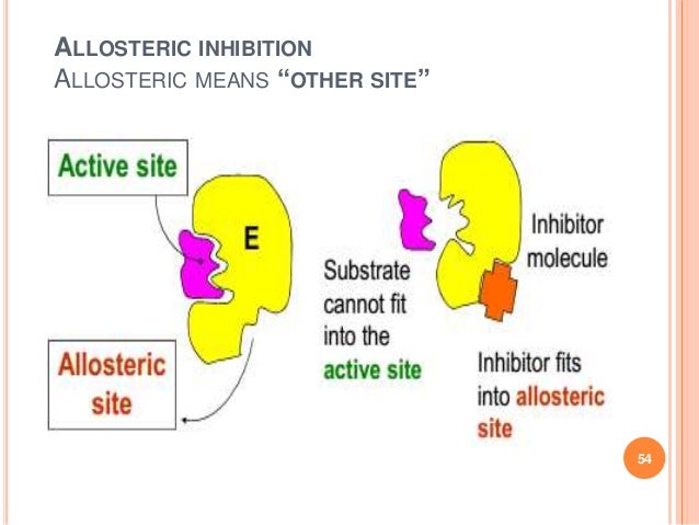 Enzyme’s activity