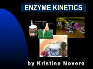 Enzyme Kinetics | PPT