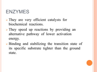 Enzymes and abzymes | PPTX