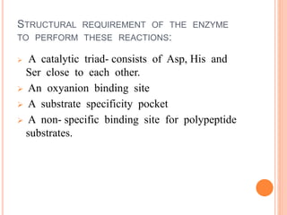 Enzymes and abzymes | PPTX