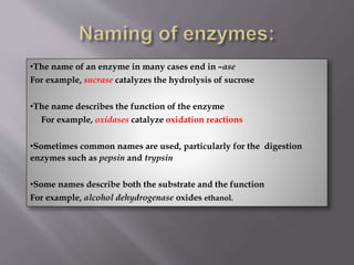 Enzymes and co enzymes | PPTX