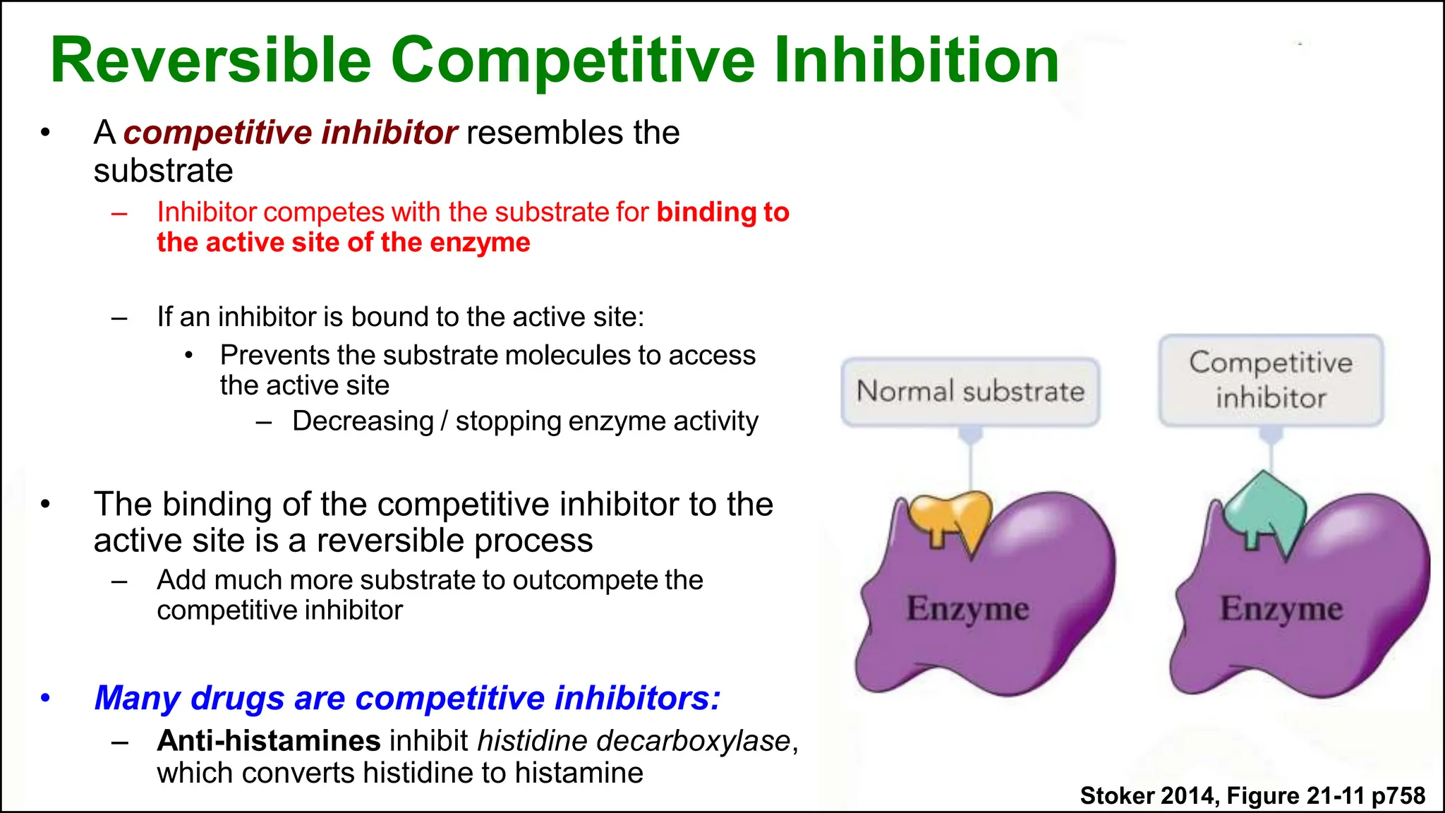 Biochemistry of Enzymes and Coenzymes.pptx